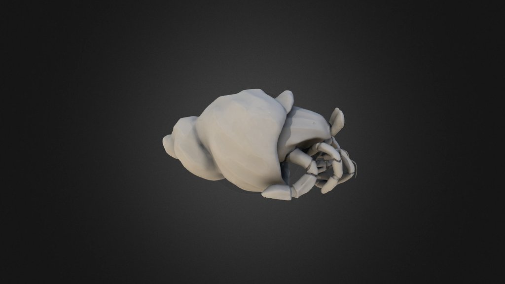 Bernard L'hermite - Download Free 3D model by Thomas Dion (@Blaast ...