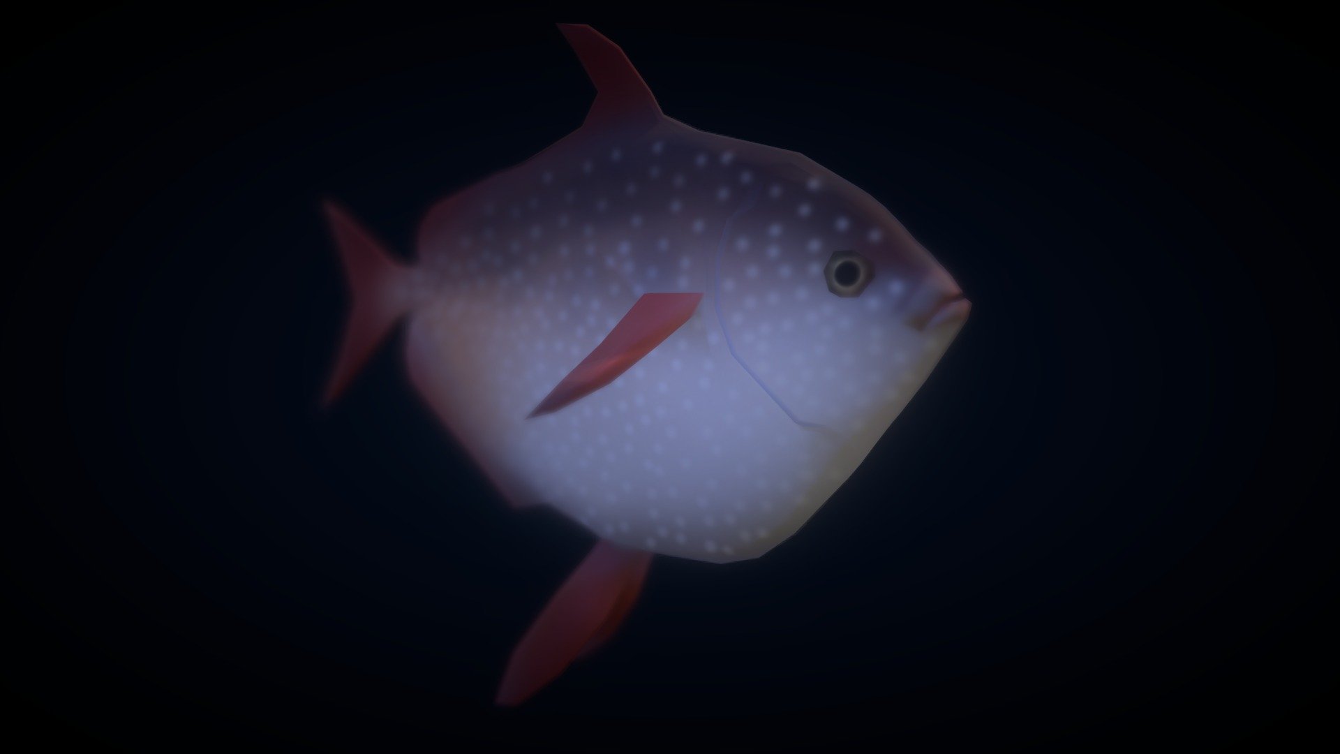 North Atlantic Opah - 3D model by CatfishYAY [b427cc3] - Sketchfab