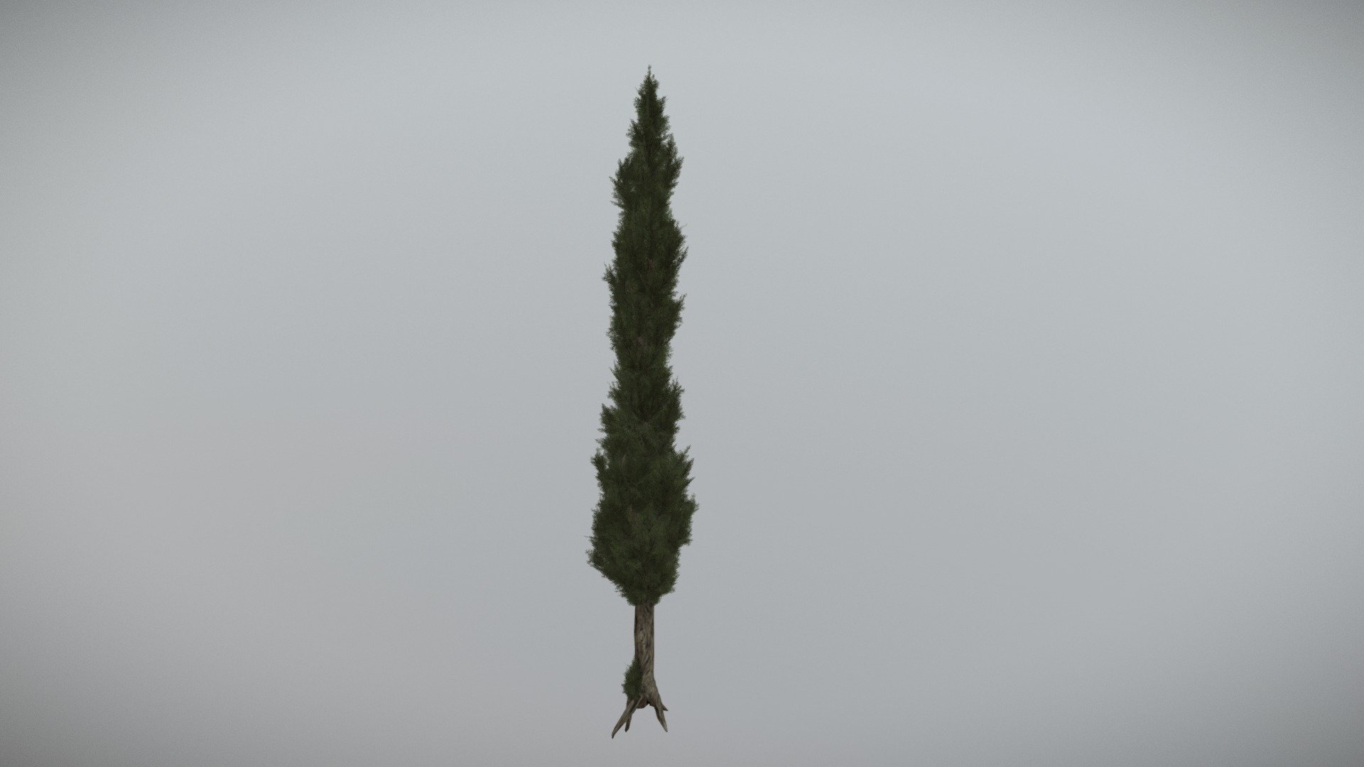 Cypress Tree - 3D model by Elias Tsirides (@eliastsirides) [b42b08f ...