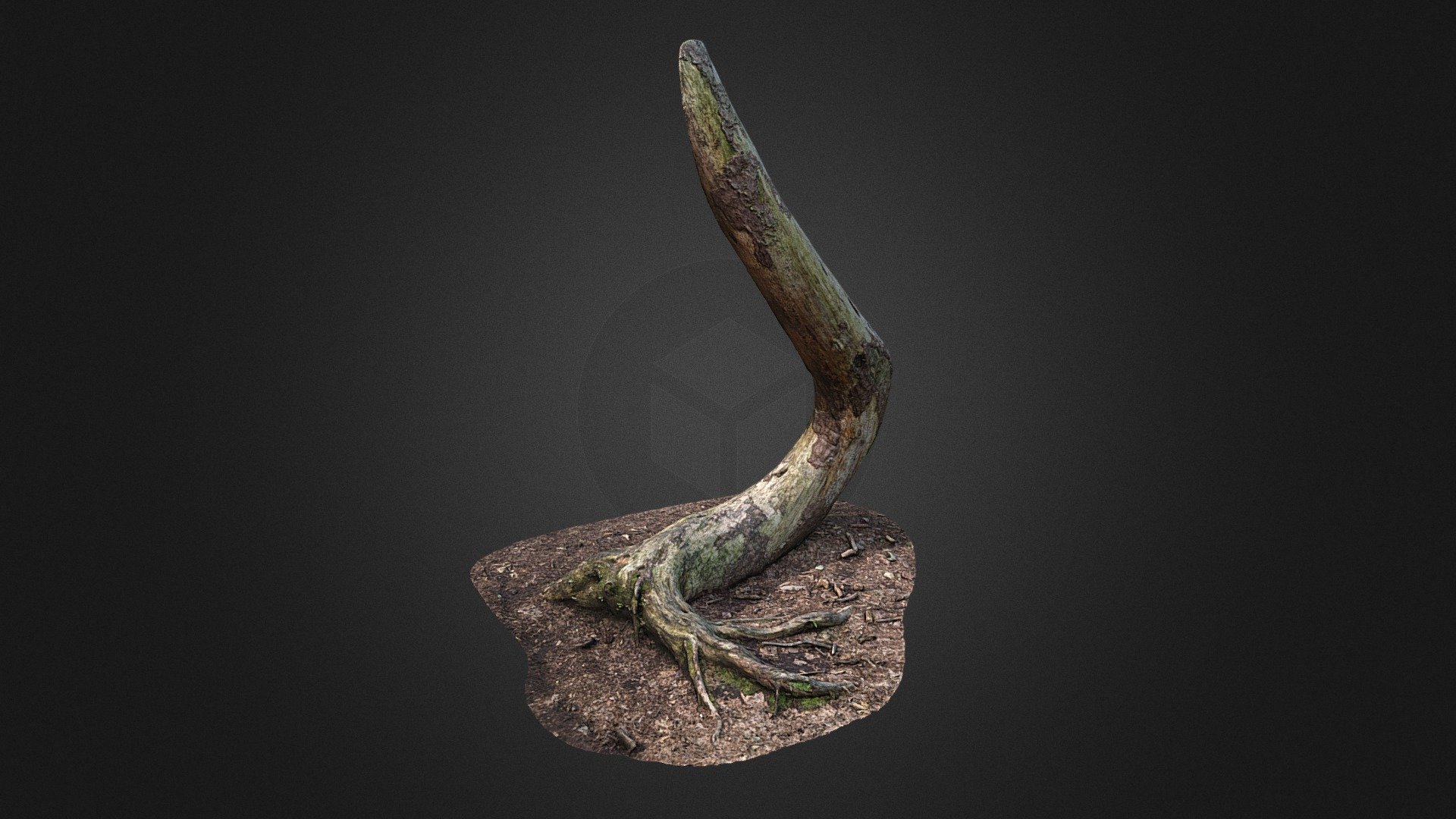 Tree base with chainsaw cut - 3D model by arttelio [b42e338] - Sketchfab