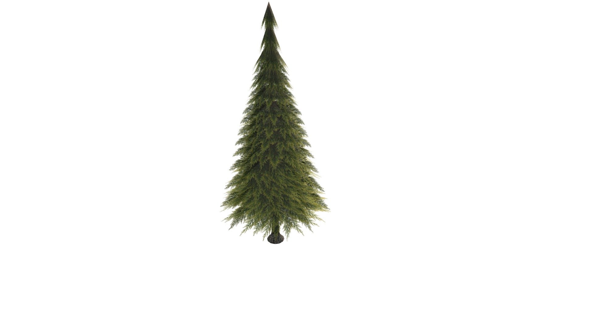 Pine Tree - Buy Royalty Free 3D model by Douwef1 [b42e6ba] - Sketchfab ...