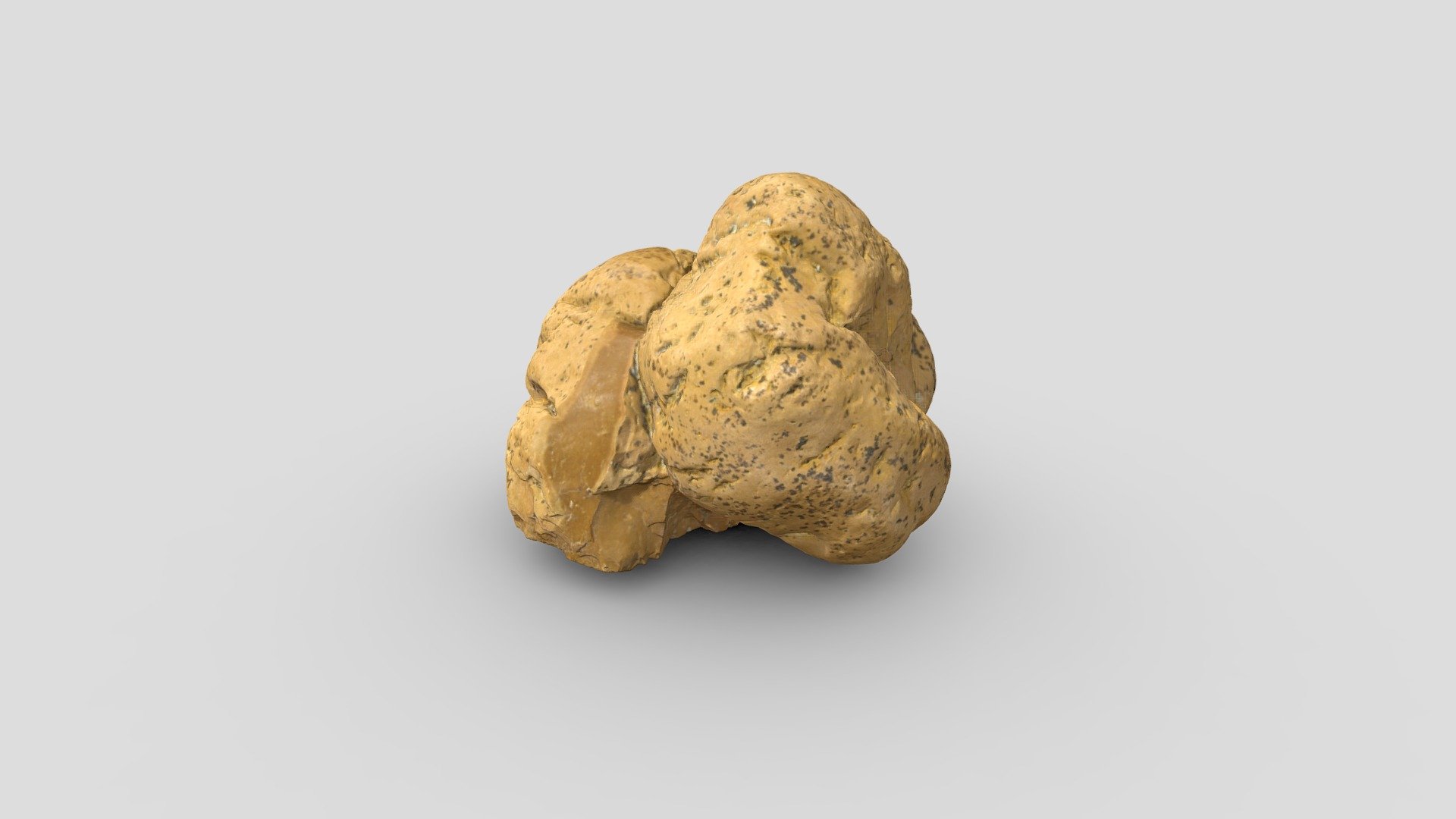 Koprolit, Vertebrata indet./Coprolite - 3D model by Herman Ottó Múzeum ...