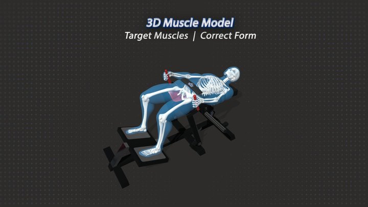 Glutes 3D models - Sketchfab