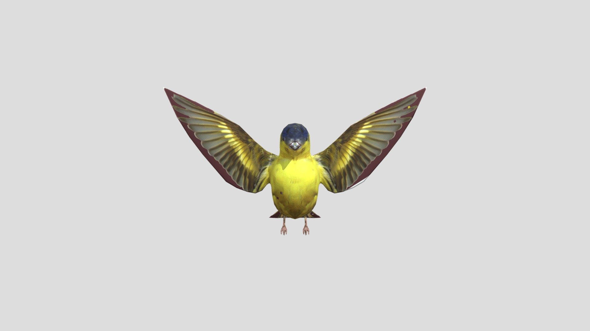 bird - 3D model by Dzakosi [b43bb46] - Sketchfab