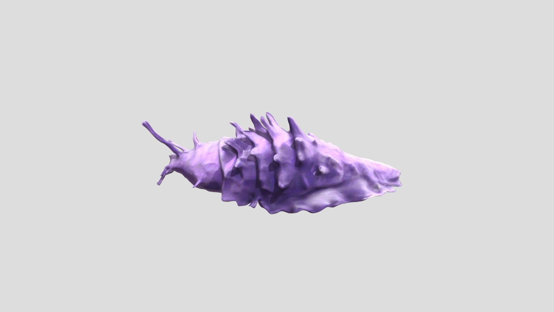 Purple Spiky Sea Slug - 3D model by 7536- [b43d436] - Sketchfab