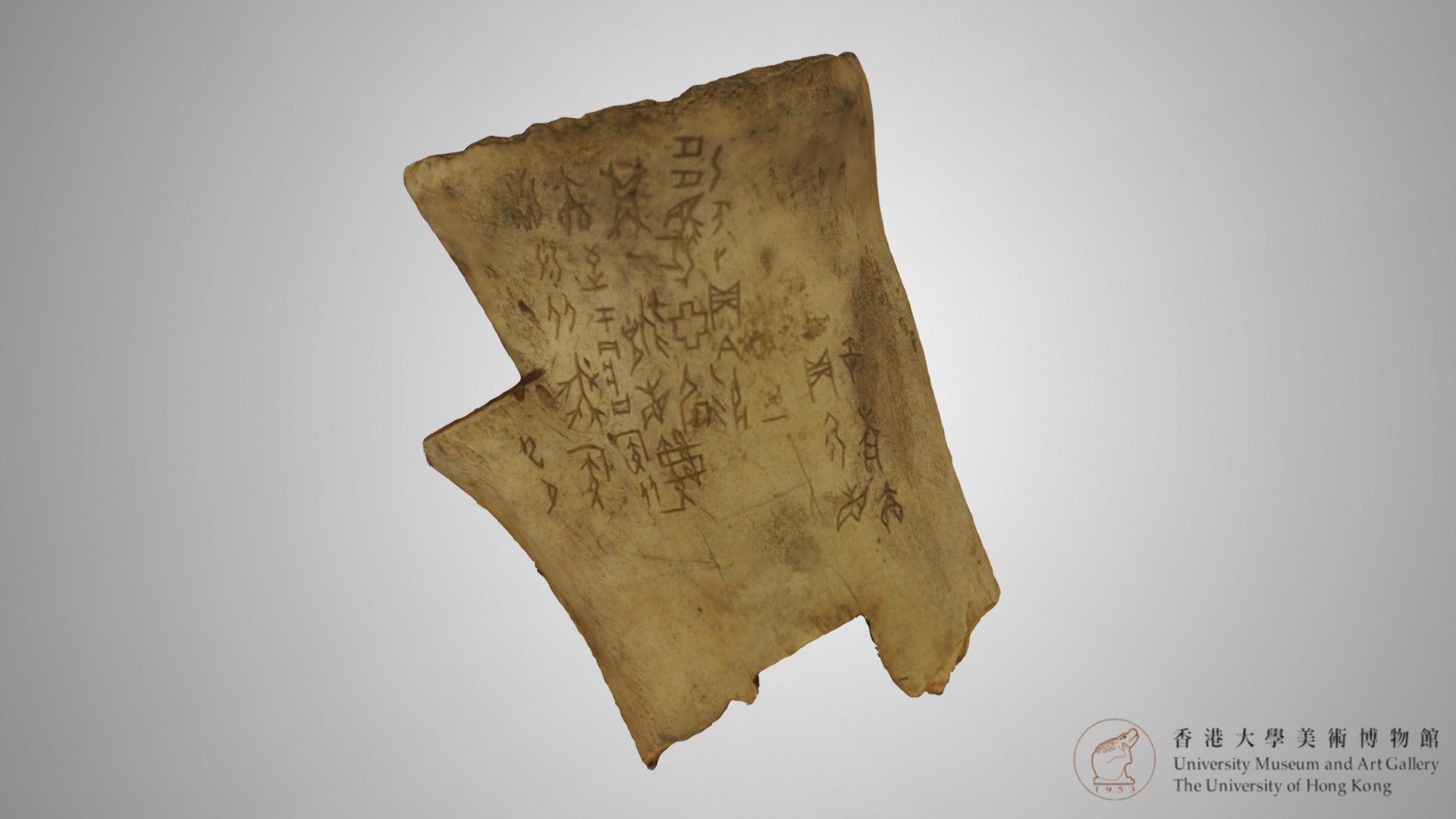 Oracle Bone - 3D model by University Museum and Art Gallery, HKU ...