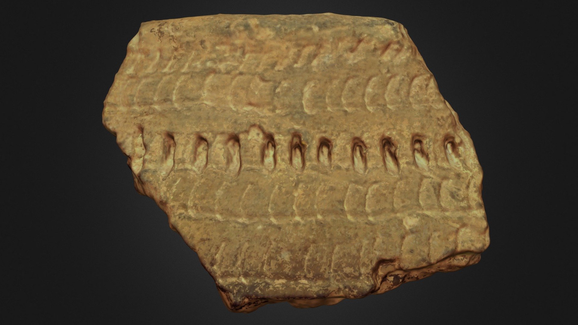 EaKa-1 Vessel 49 Laurel Rim - 3D model by Lakehead Anthropology ...