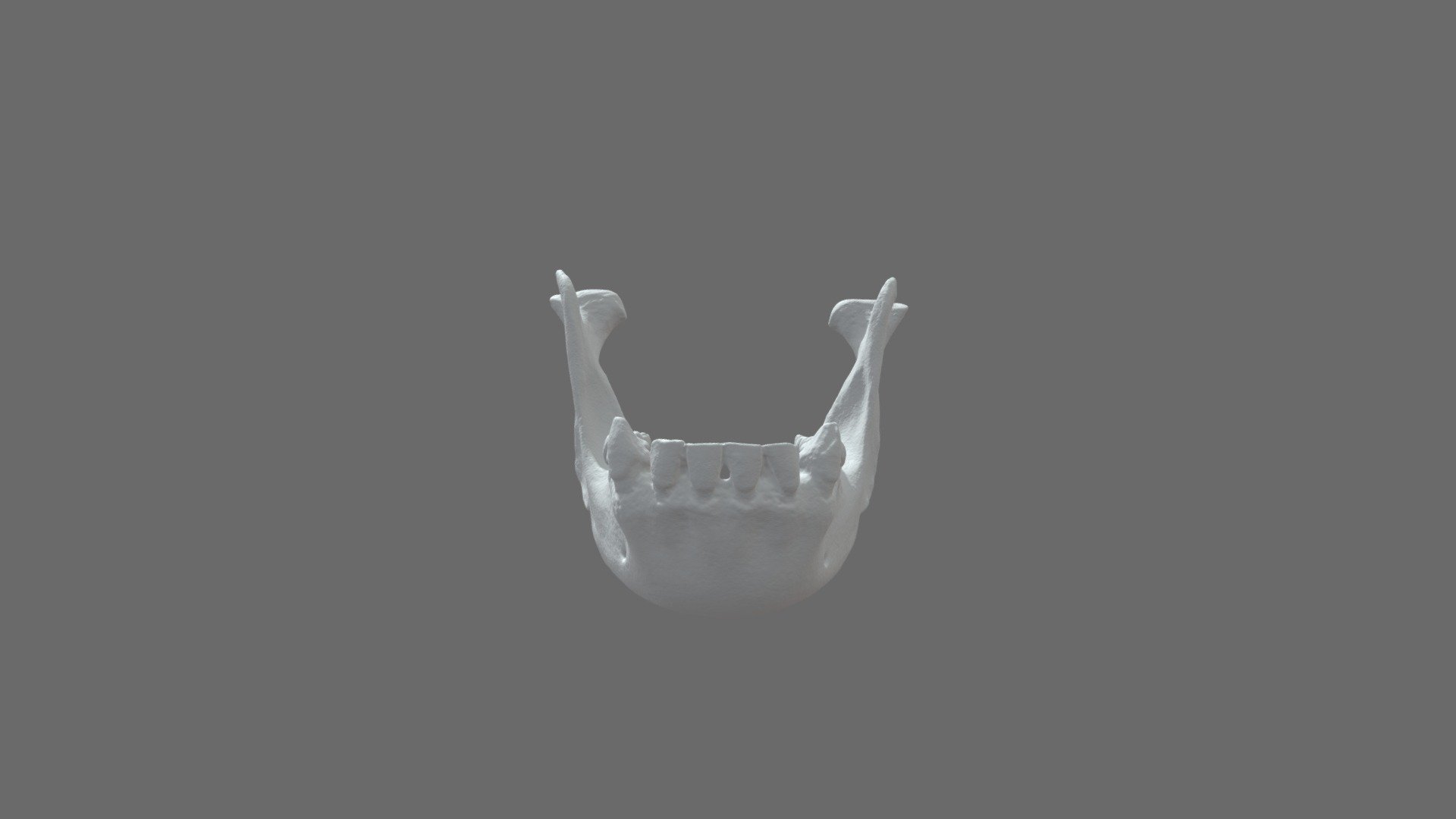 Pan troglodytes (Chimp Mandible) - 3D model by Binghamton Anthropology ...