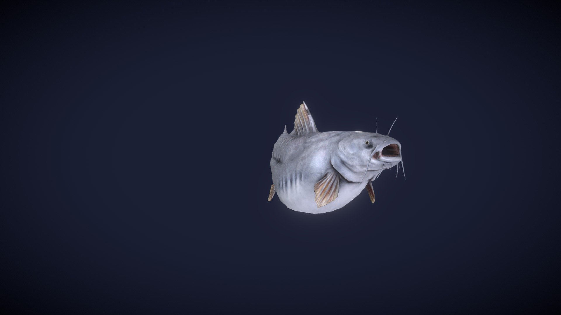 Catfish - 3D model by CheshireJester [b4540e7] - Sketchfab