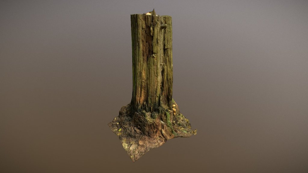 Stump - 3D model by isawitonce [b462b07] - Sketchfab