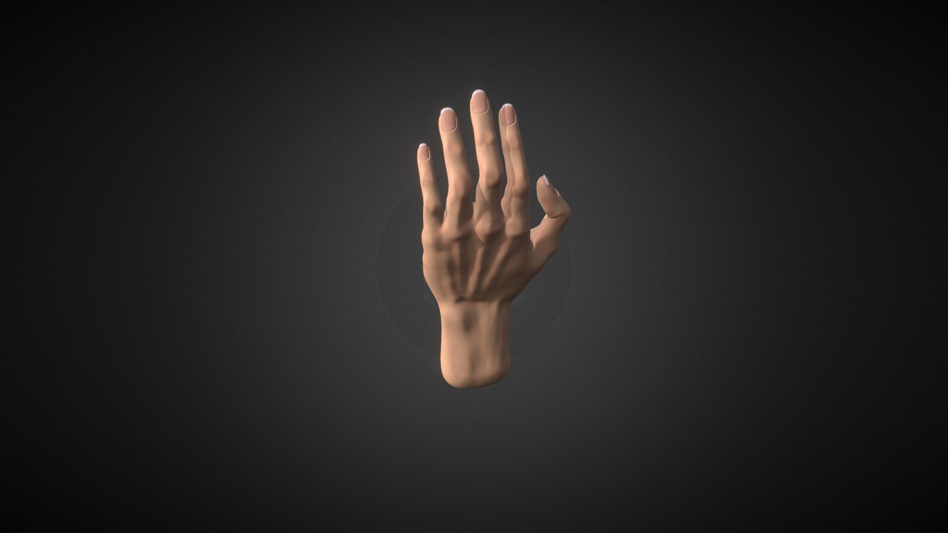 Realistic Woman Right Hand / 現實的女人右手 - 3D model by INKfinita [b4645cd ...