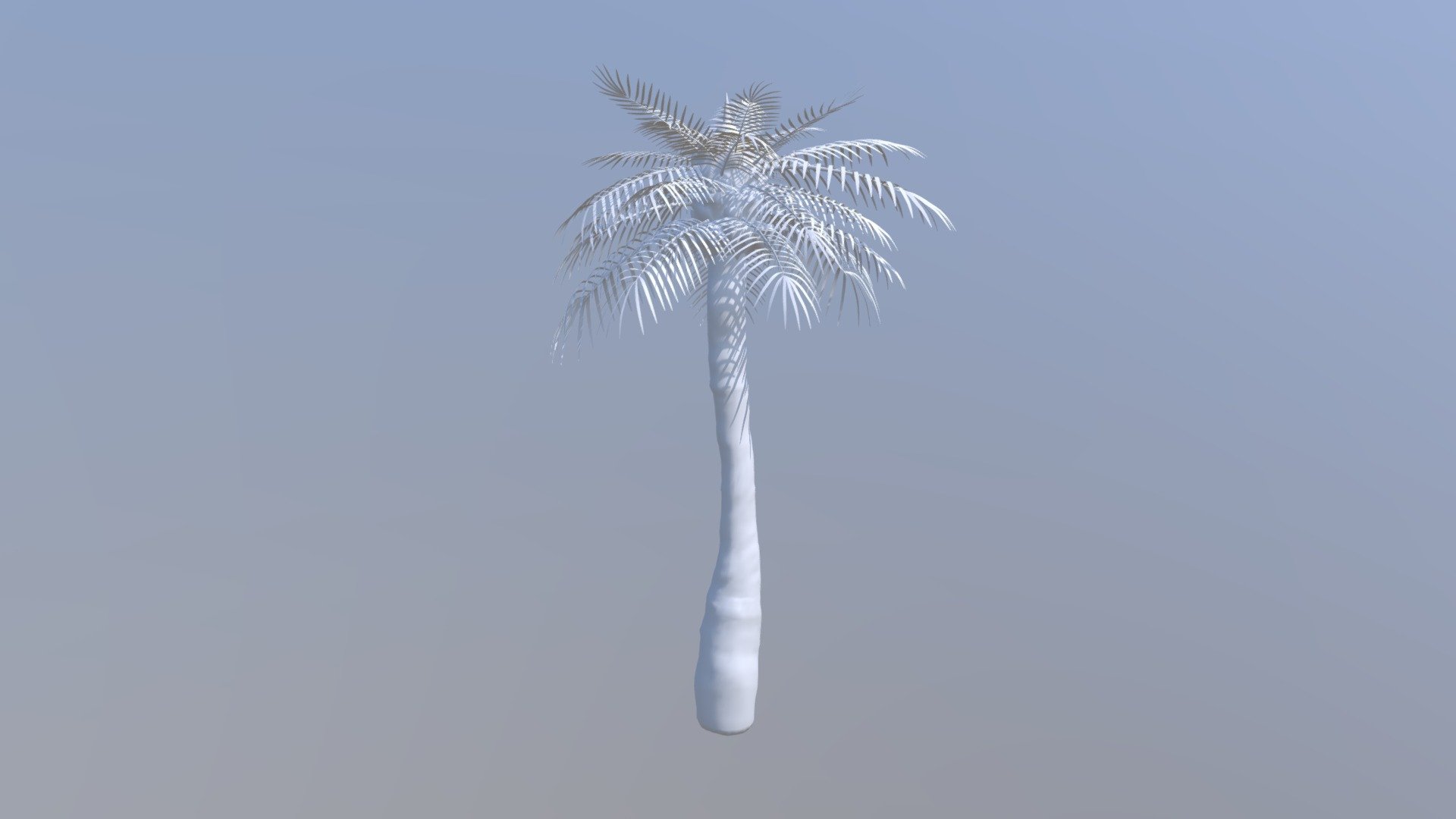 Palm Tree - 3D model by rfeck1187 [b466cec] - Sketchfab