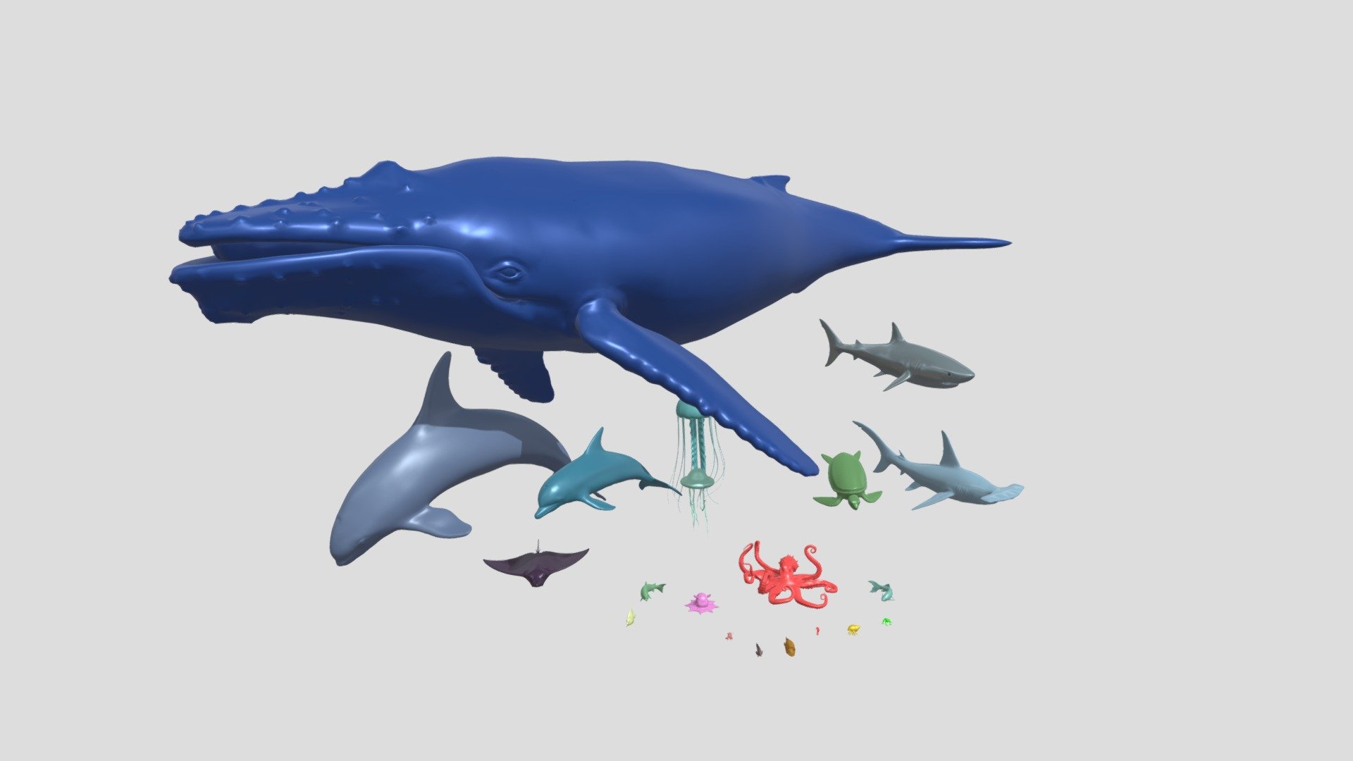 Hewan Laut - 3D model by Nunul [b4748d2] - Sketchfab