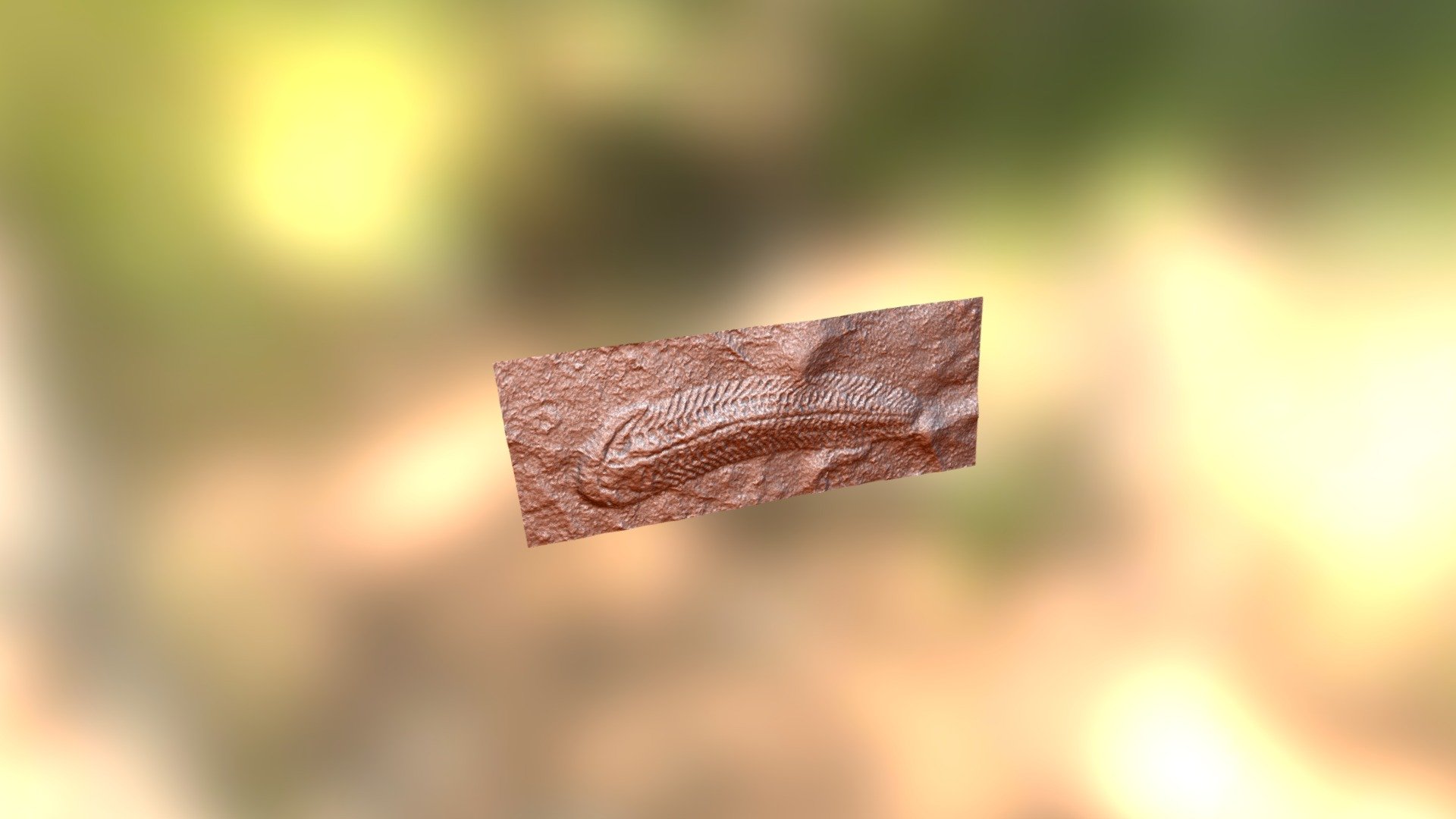 Spriggina - 3D model by Emily G Mitchell (@egmitchell) [b479e24 ...