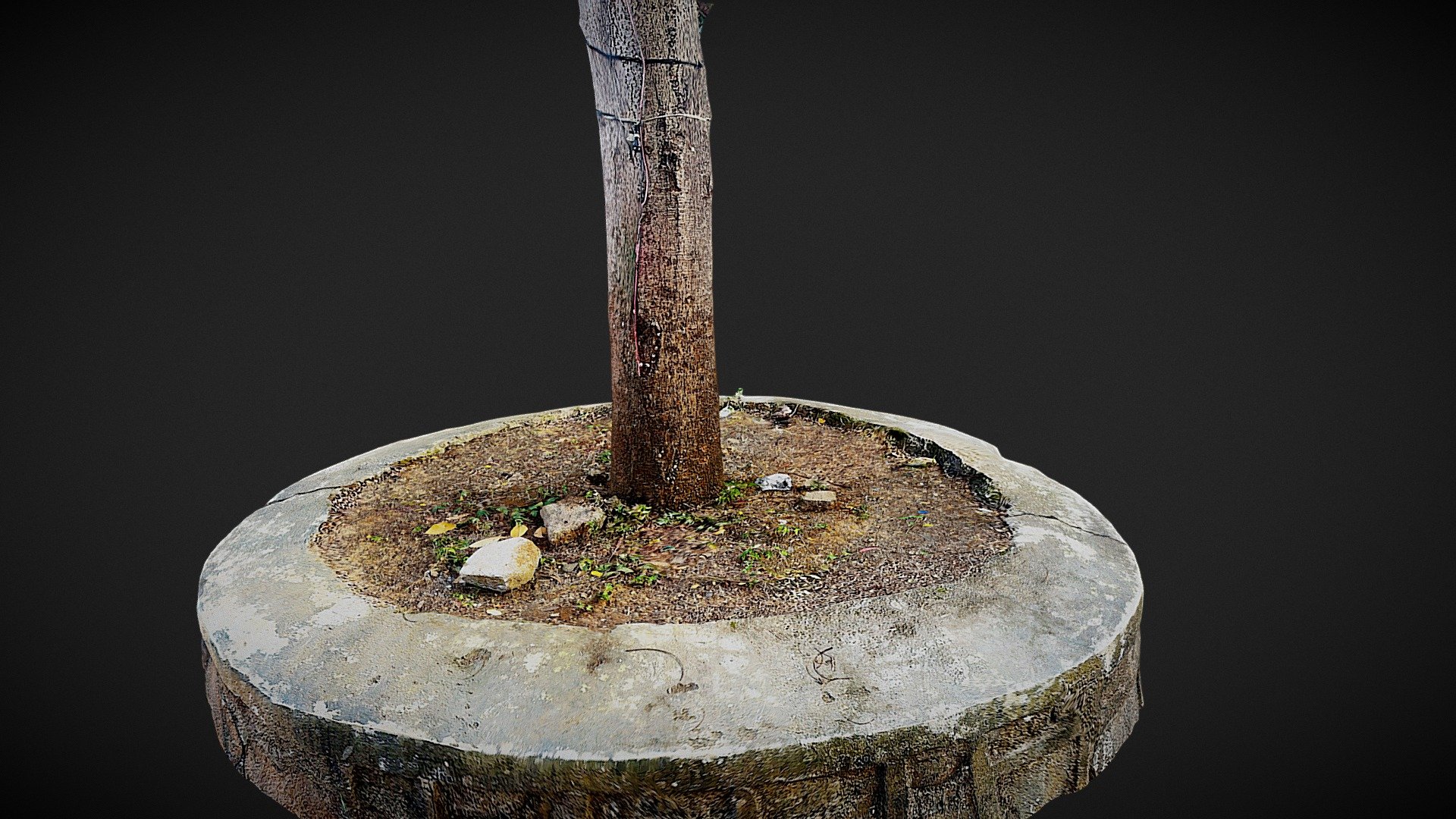 Tree Trunk - Download Free 3D model by raobott [b487612] - Sketchfab