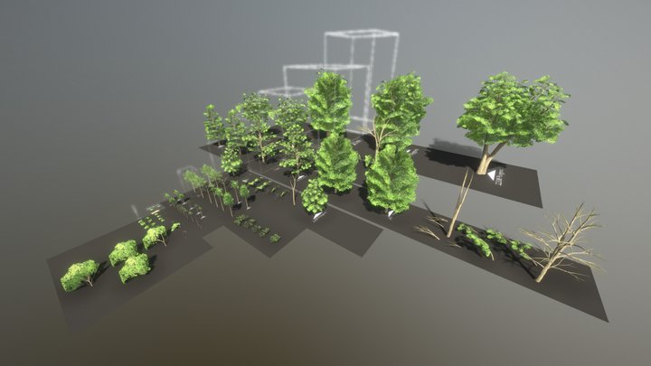 Tree-animation 3D models - Sketchfab