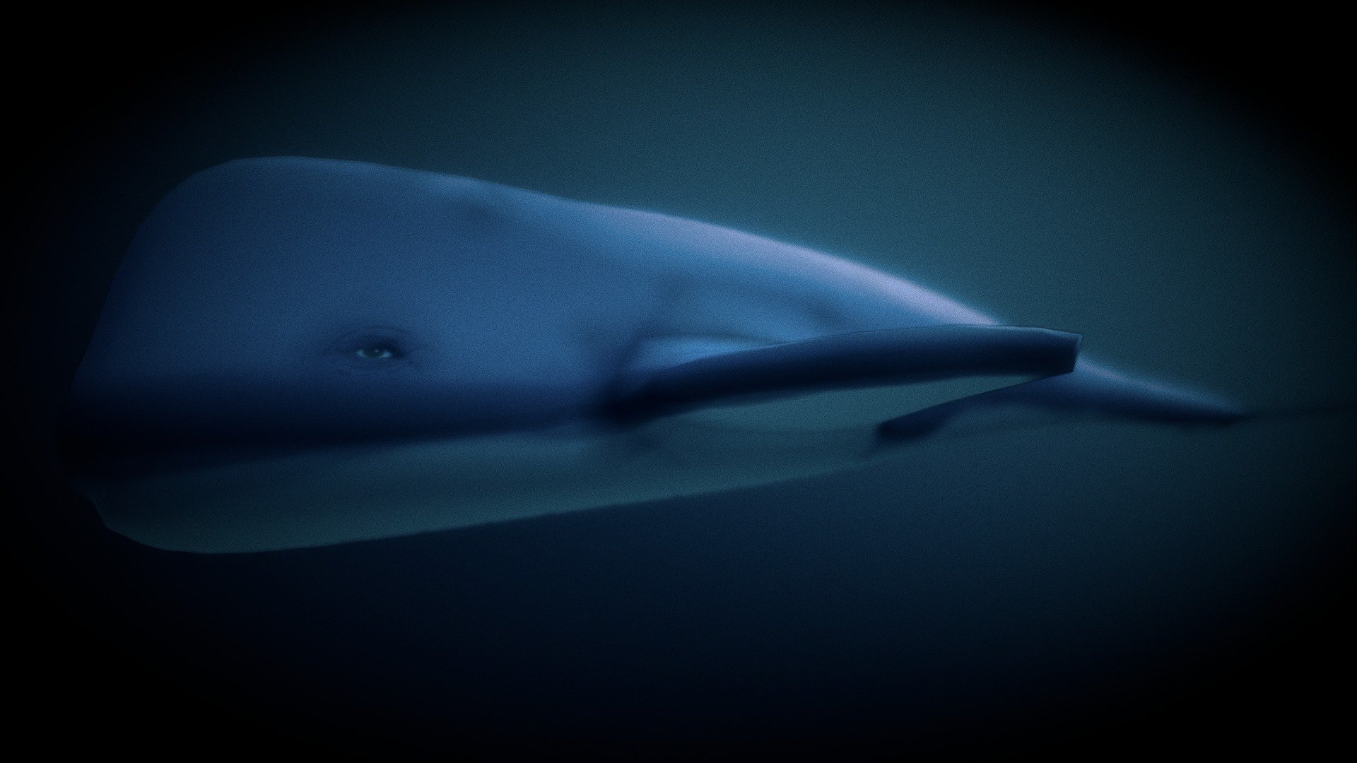 Underwater - 3D model by Riffel [b48f393] - Sketchfab