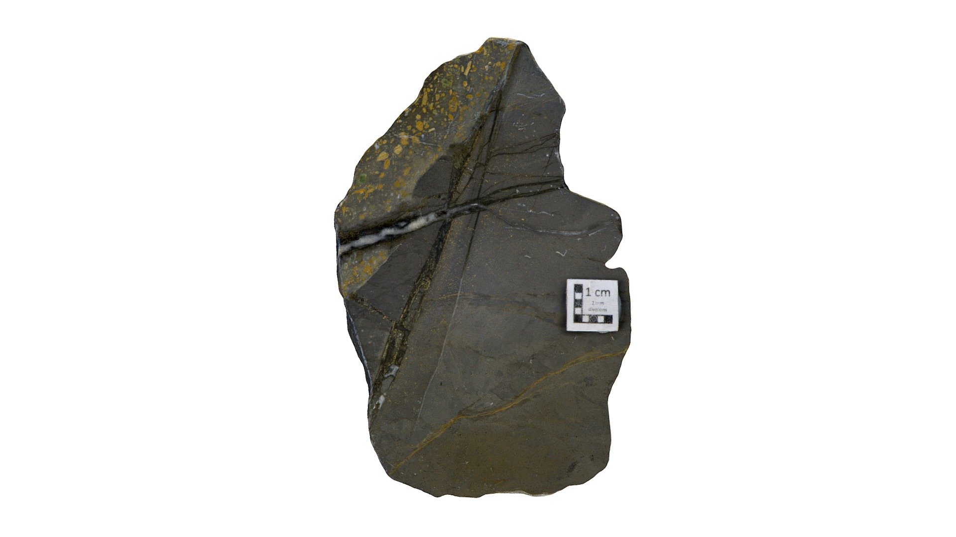 UTas_KEA716_114 - 3D model by AusGeol.org (@AusGeol) [b490cc3] - Sketchfab