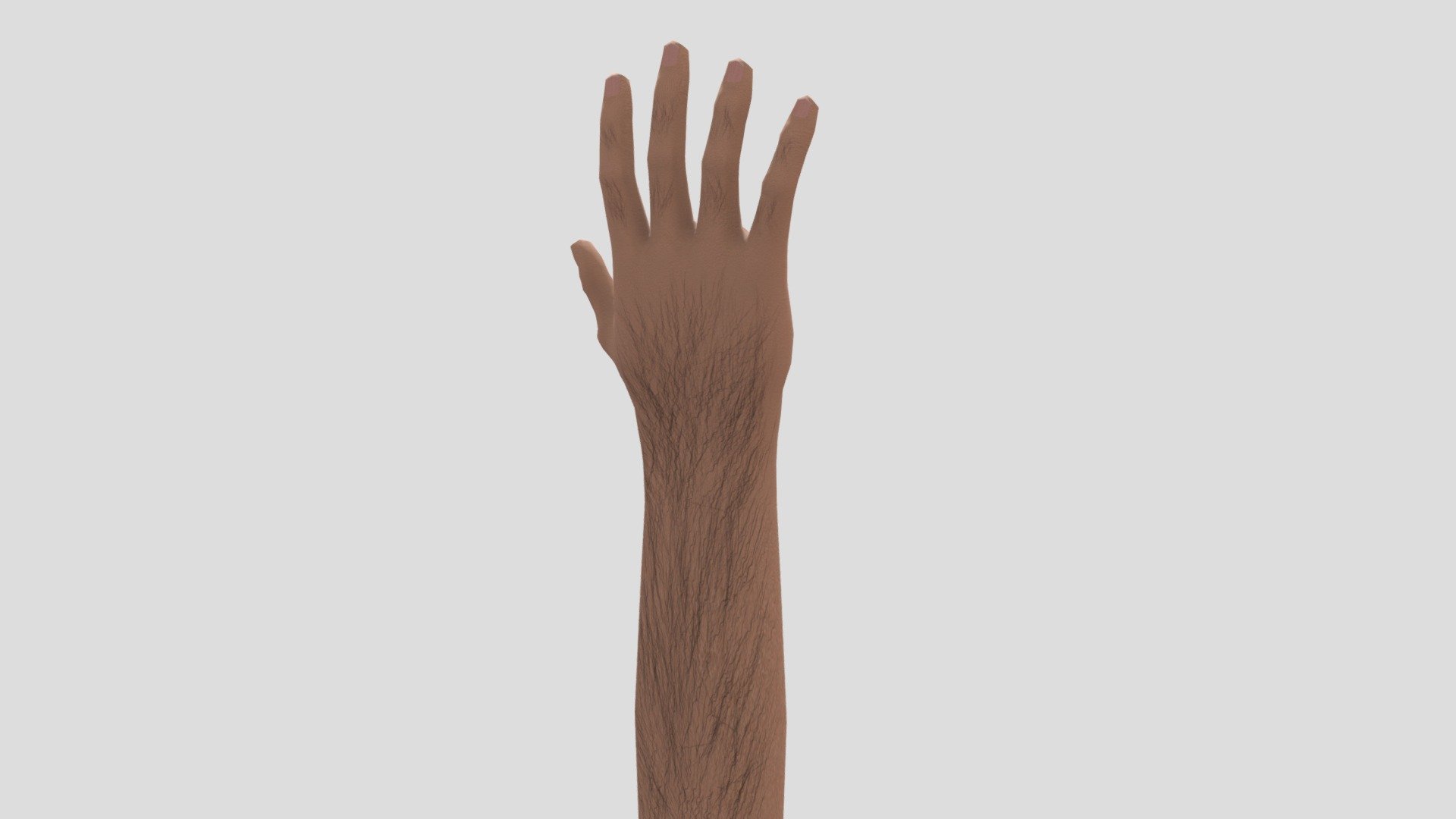 Gorden Hand - Download Free 3D model by Gavin Bou - Official (@GavinBou ...