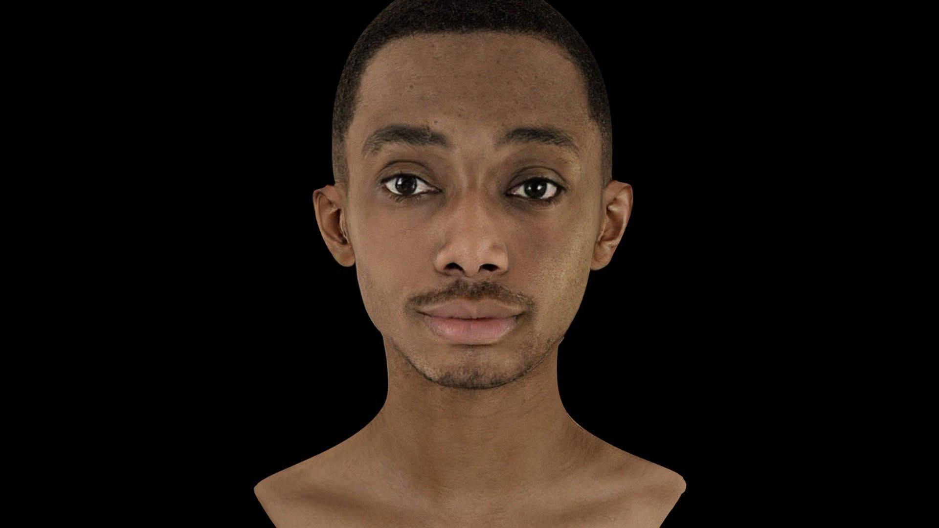Human Dignity Collection | www.acuteline.com - Download Free 3D model ...