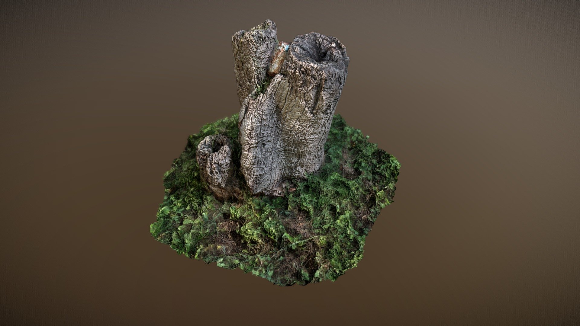 Cut Tree - Download Free 3D model by marcojoao11 [b4a78df] - Sketchfab