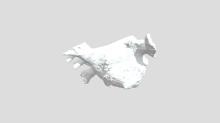 Left_atrium 3D models - Sketchfab