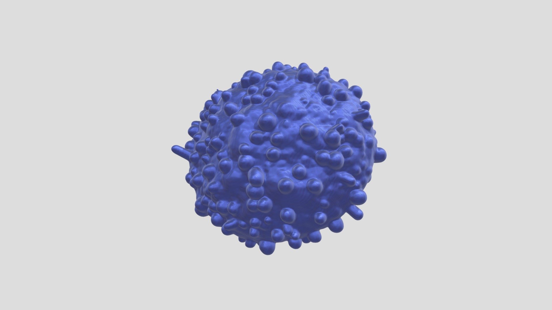 European White Water Lily (Nymphaea alba) pollen - 3D model by Cardiff ...