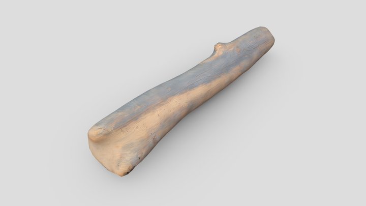 Twig 3D models - Sketchfab