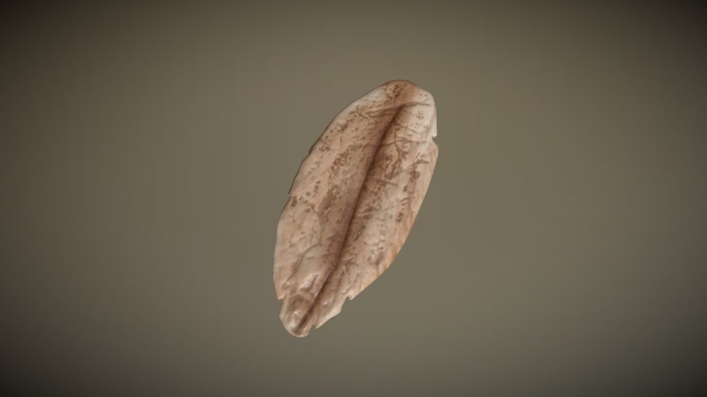 oat - A 3D model collection by jackber - Sketchfab