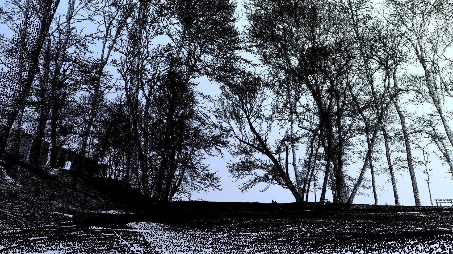 Forest,point cloud,scan - Buy Royalty Free 3D model by Deeper ...