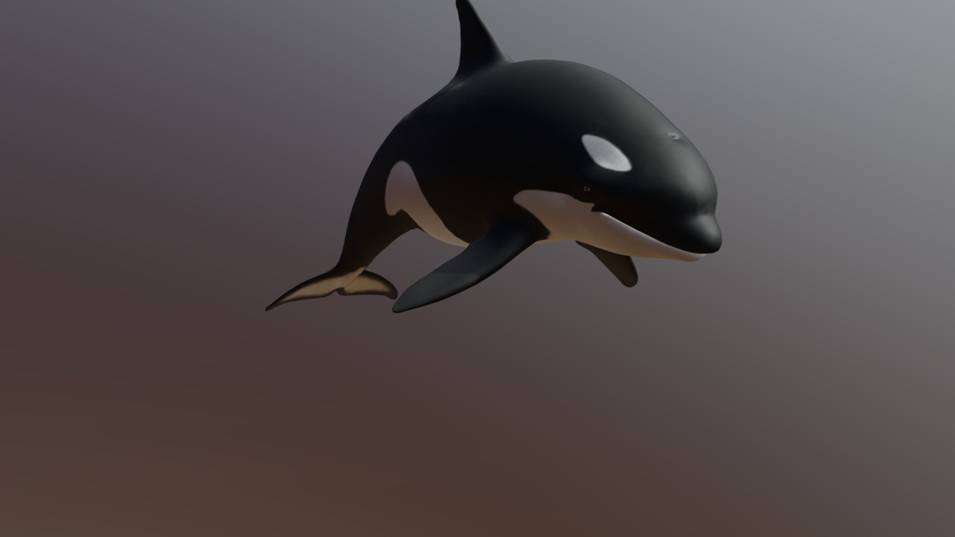 Orca - 3D model by dmitriy.pilipov [b4da38e] - Sketchfab