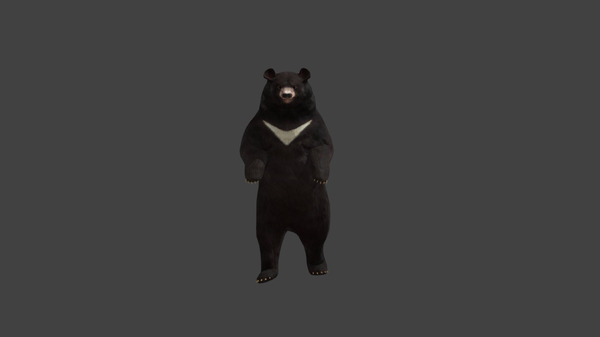 bear_upright_walking - 3D model by yehyinghsuan [b4e0ea3] - Sketchfab