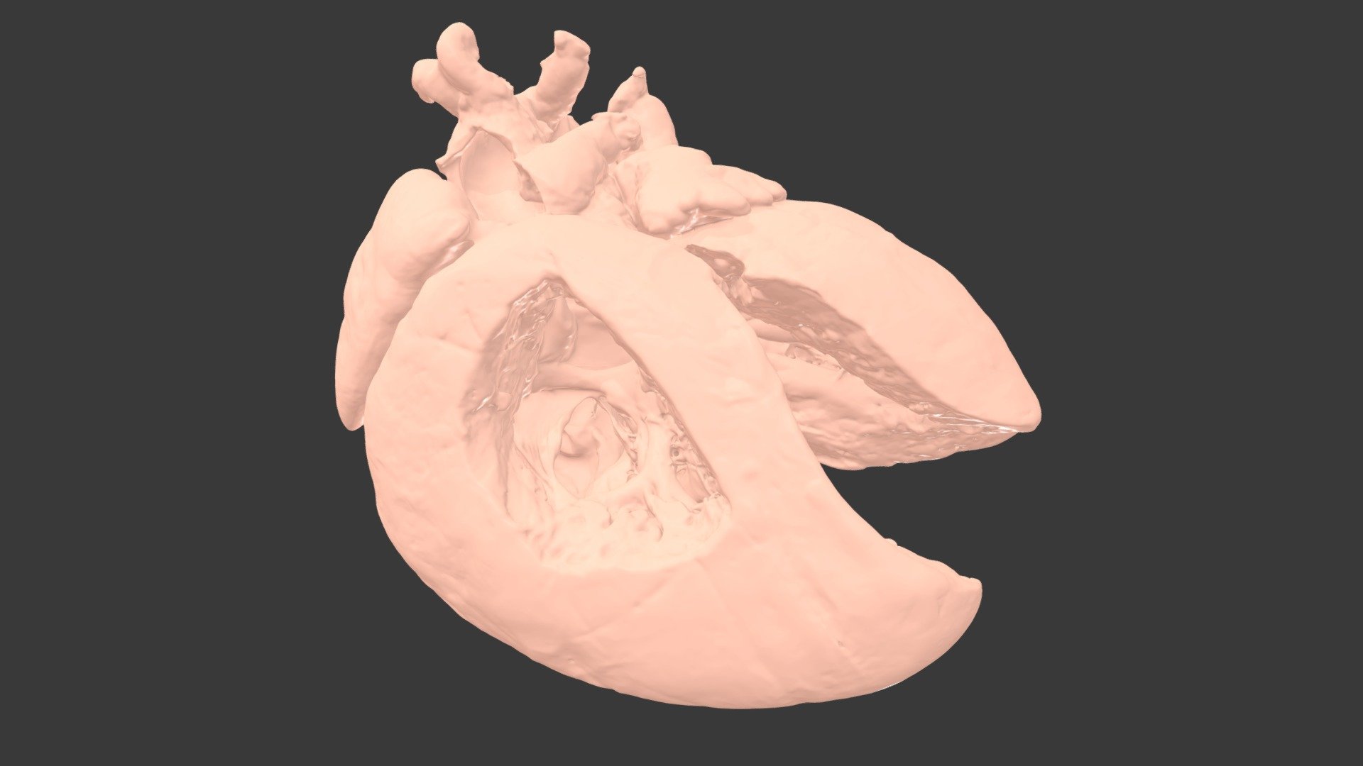 Tac 3 Tac {s D S} Type A2 3d Model By Heartmodels [b4e4eea