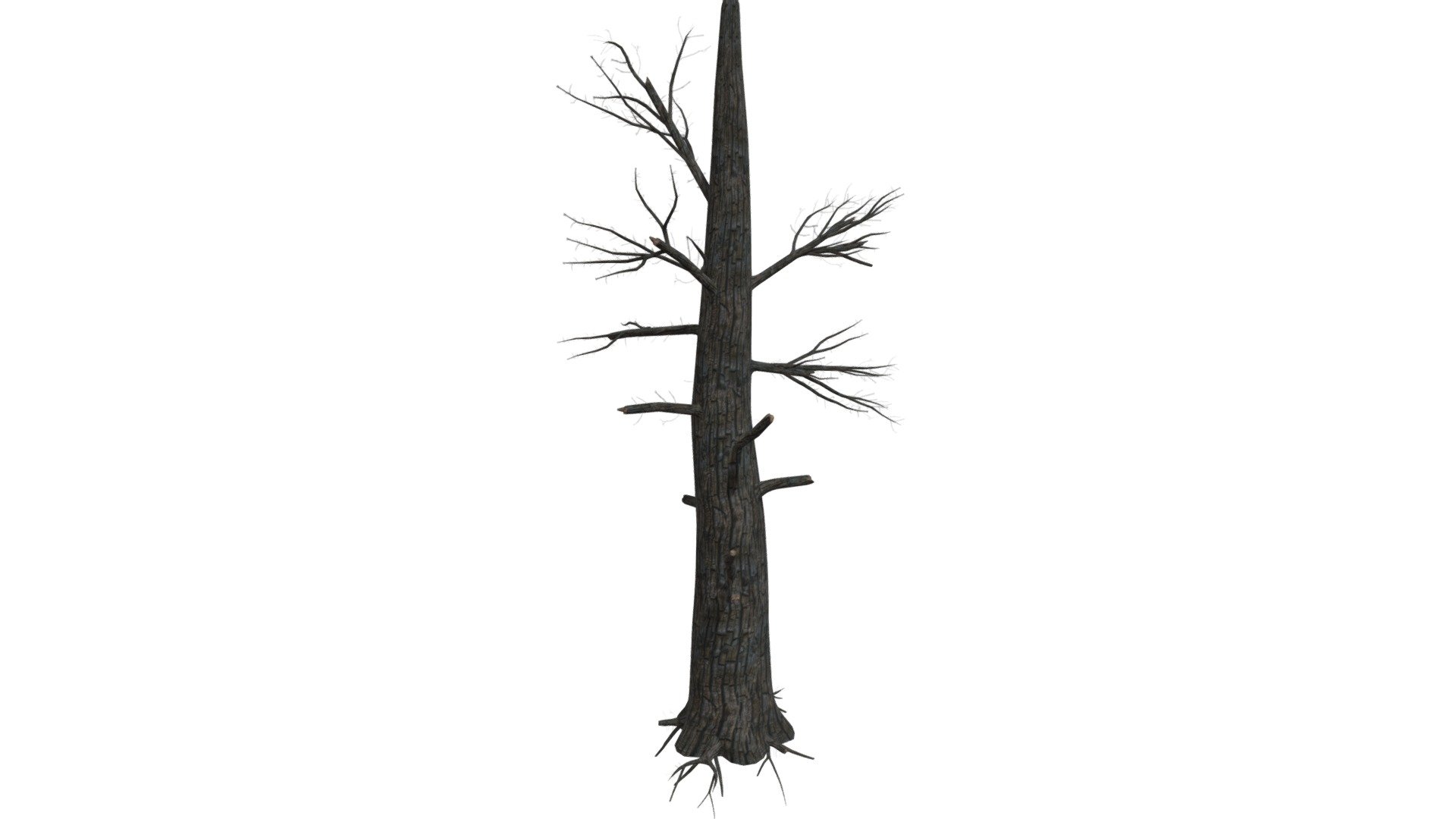 Burnt Tree #02 - Buy Royalty Free 3D model by meshshape [b4f9459 ...