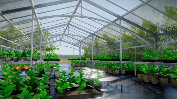 Greenhouse 3D models - Sketchfab