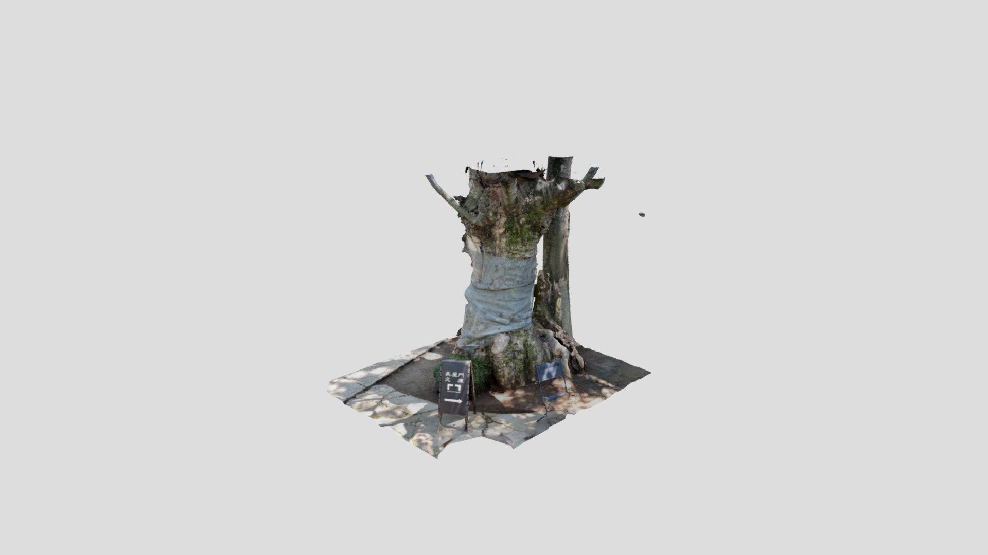 An old tree - Download Free 3D model by abauntz [b509b66] - Sketchfab