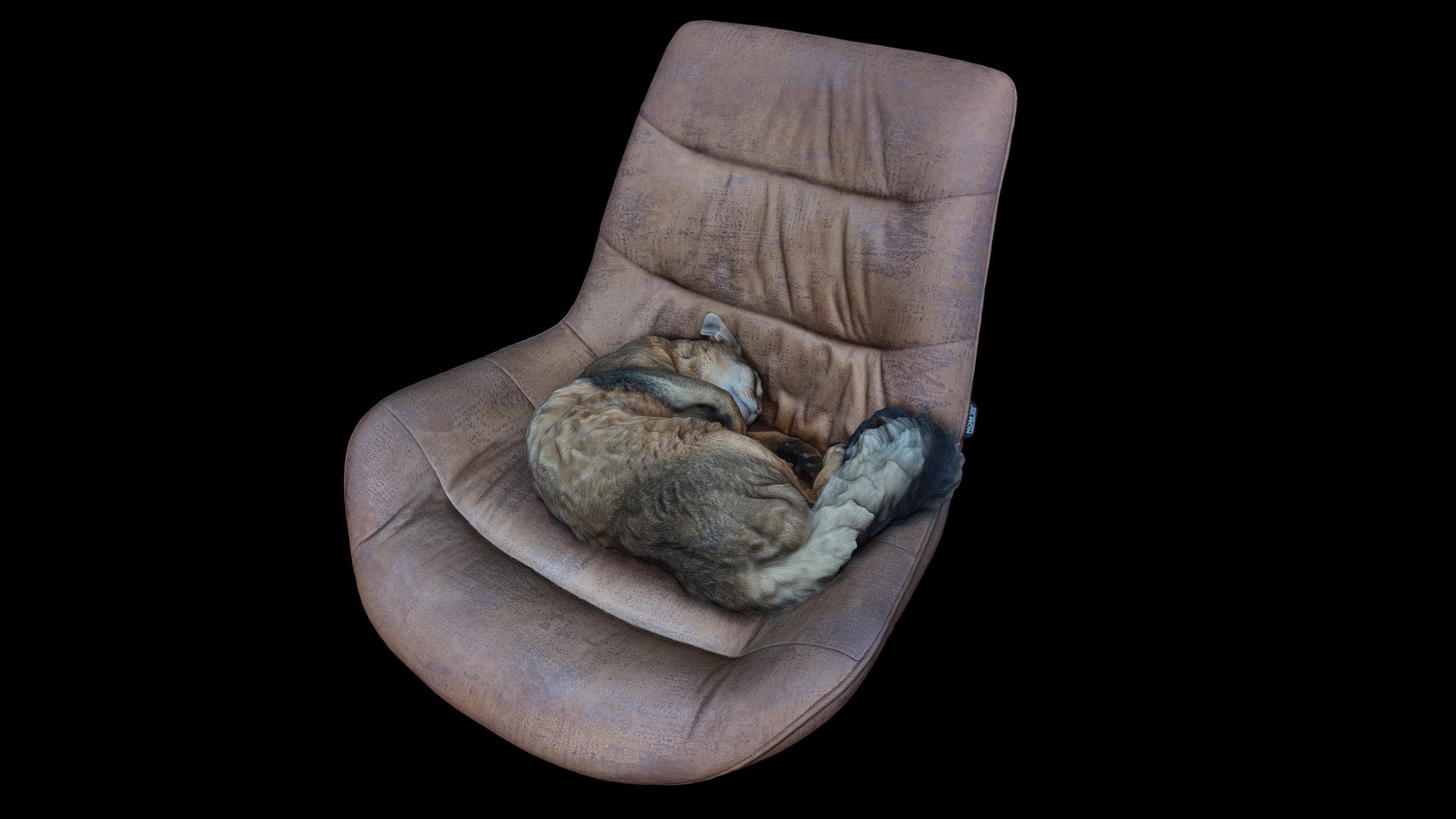 Pepe the cat - Download Free 3D model by am_i_loco_lima [b5147d7 ...