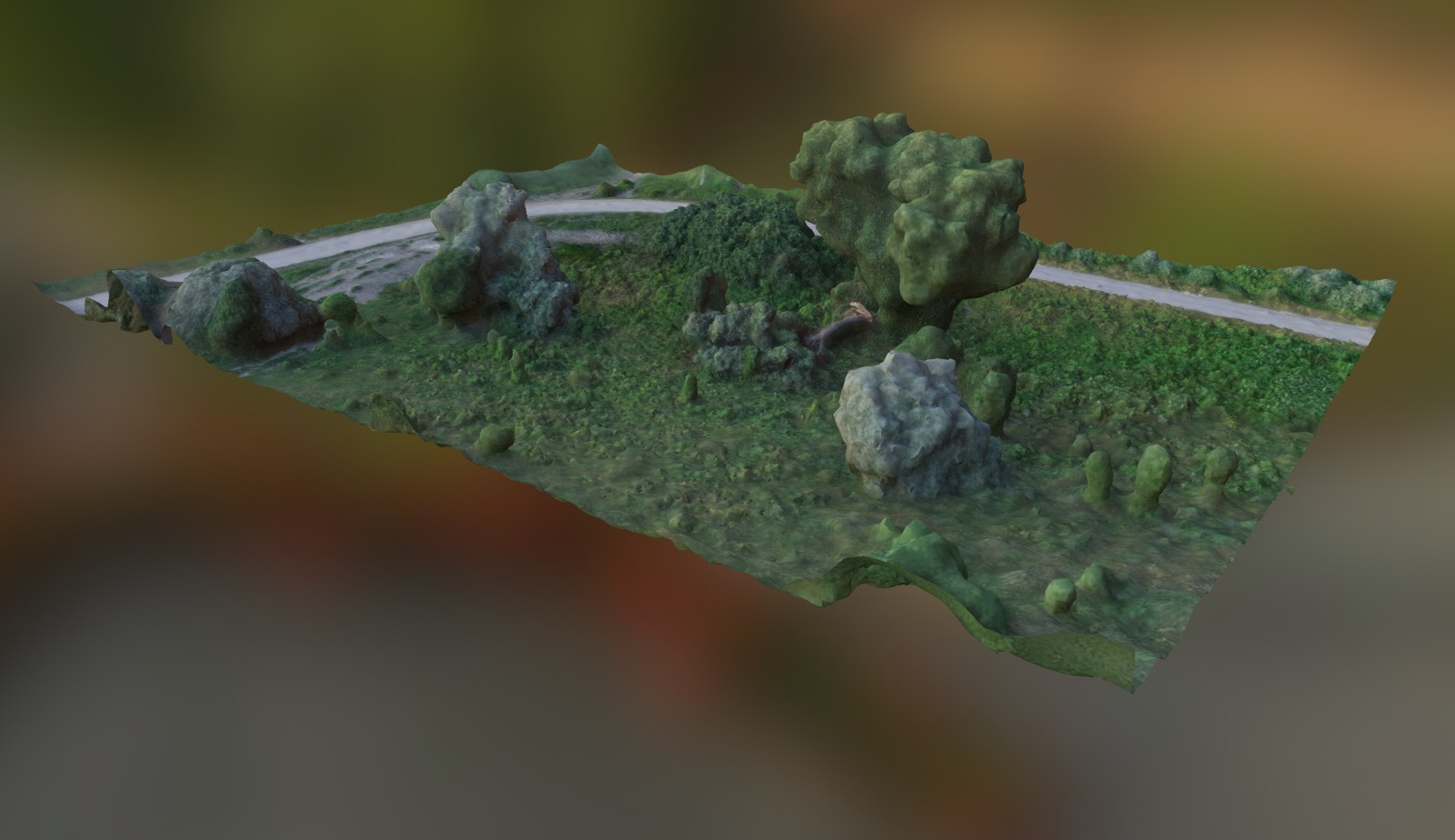 A Fa, the tree - 3D model by fuhur [b518936] - Sketchfab