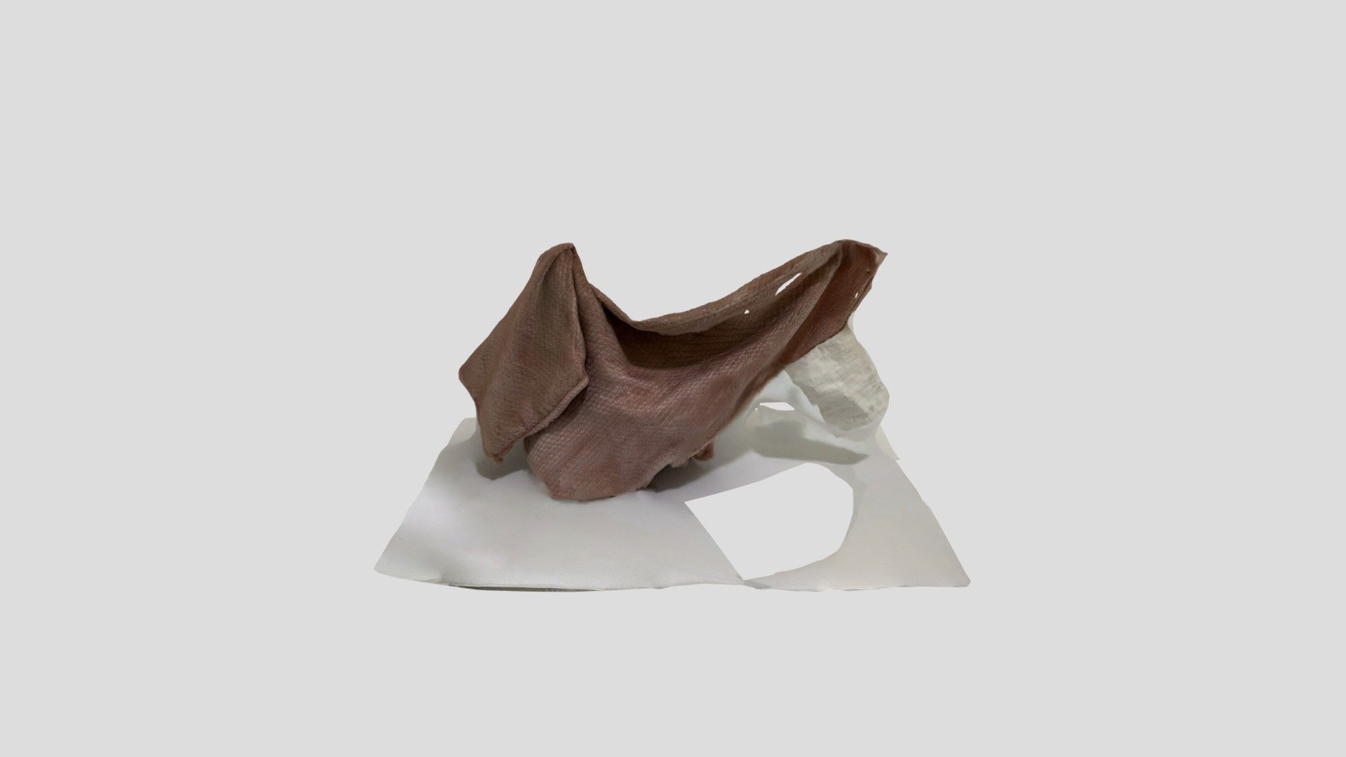 Cloth 3D Scan 3 - Download Free 3D model by zeynepgorken [b52ba0e ...