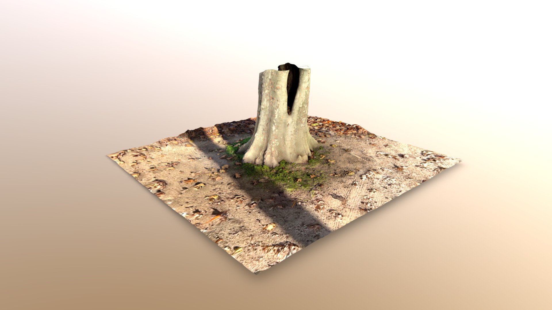 Tree - Download Free 3D model by harlqun [b53d28d] - Sketchfab