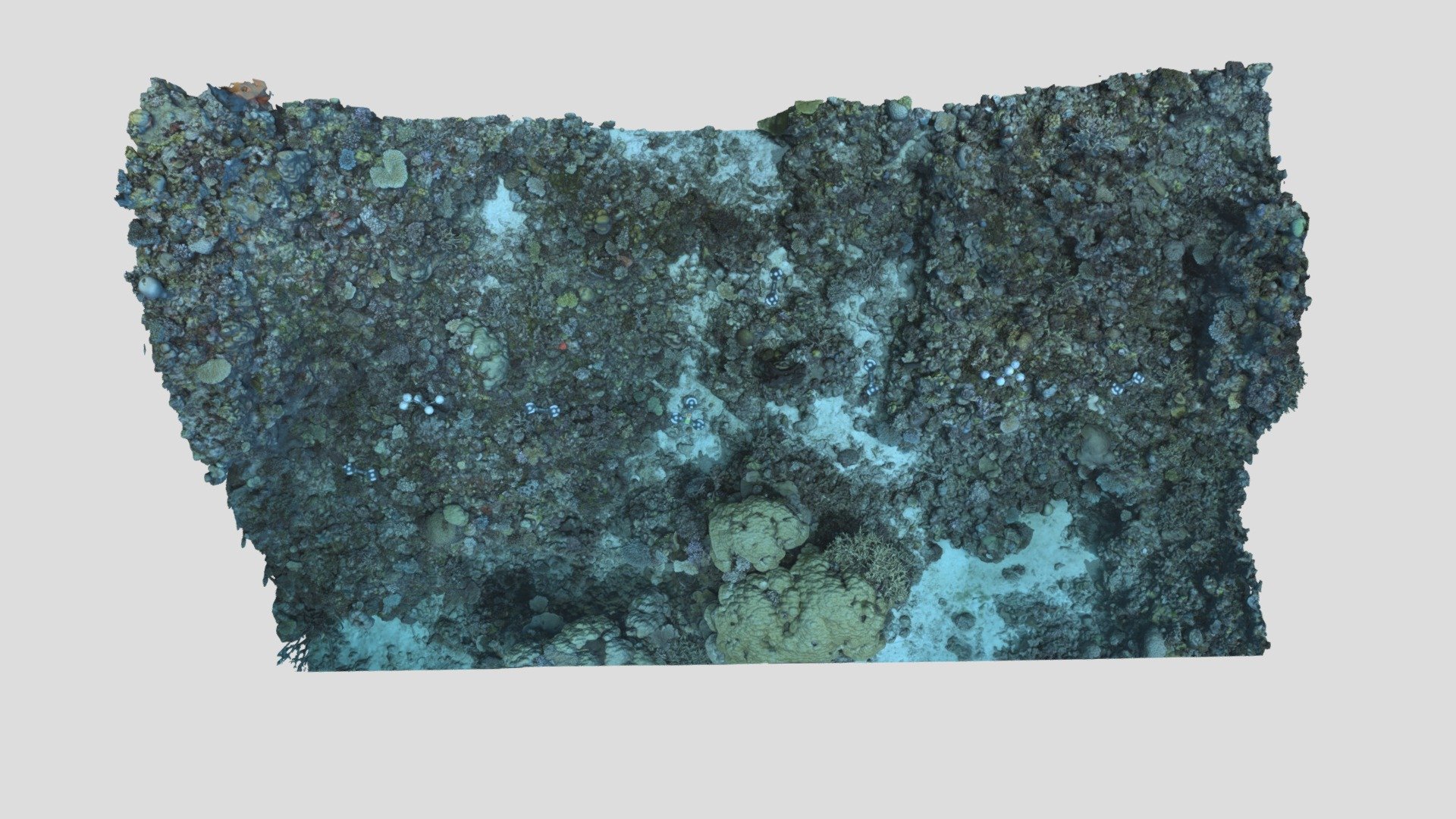 Davies_FR1D_P3_202301 - 3D model by EcoRRAP (@AIMSEcoRRAP) [b53e1c7 ...