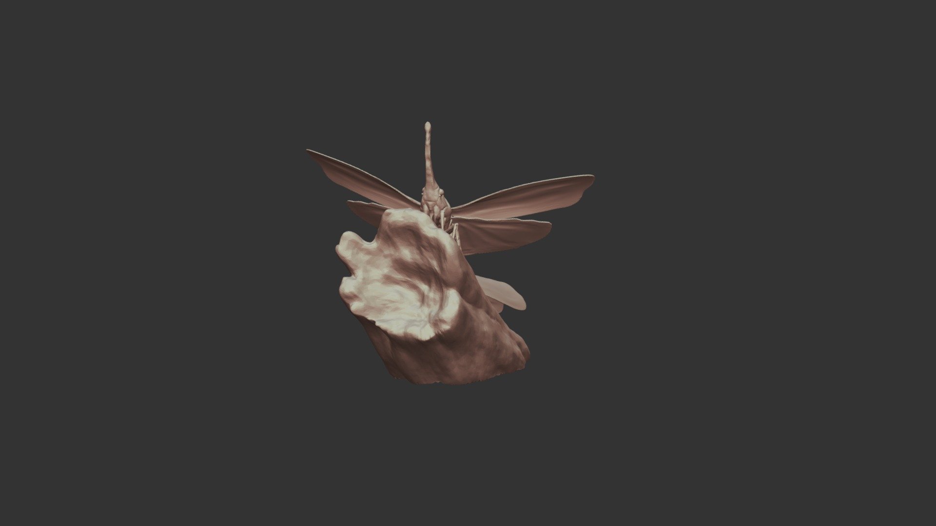 Pyrops candelaria - 3D model by Gustavo Dias (@gustavodm) [b540b93 ...