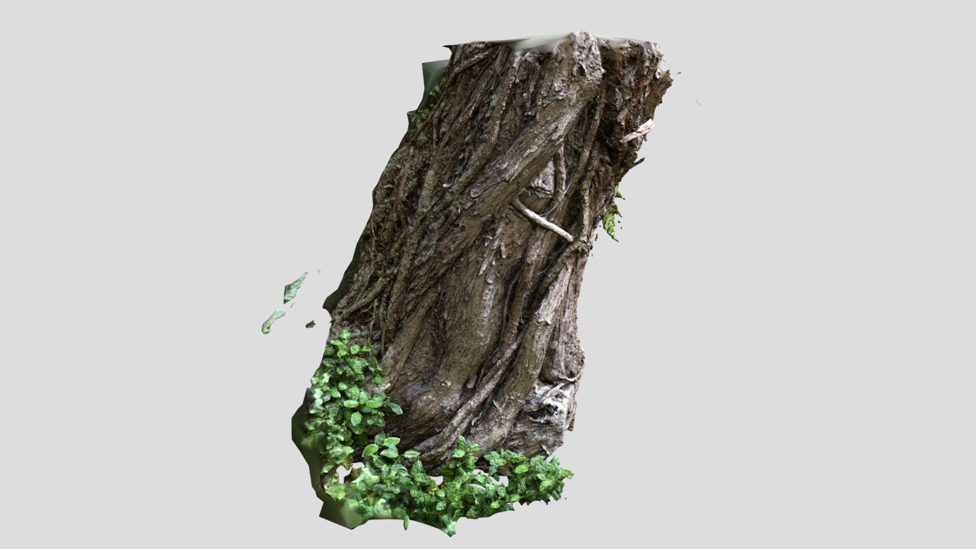 Trunk - Download Free 3D model by peter.allely [b5485c8] - Sketchfab