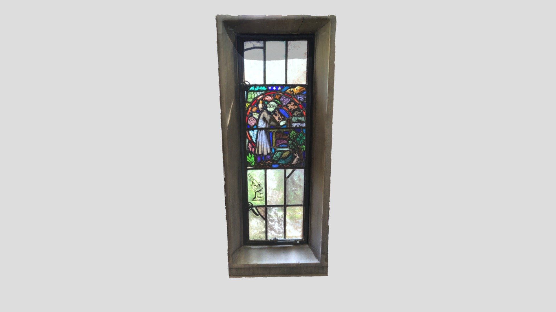 Biology stained glass window - Download Free 3D model by Boston College ...