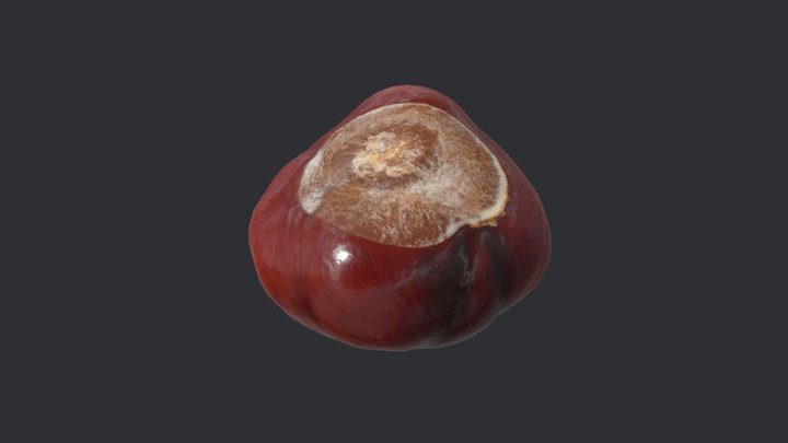 Conker 3D models - Sketchfab