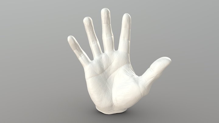 Finger 3D models - Sketchfab