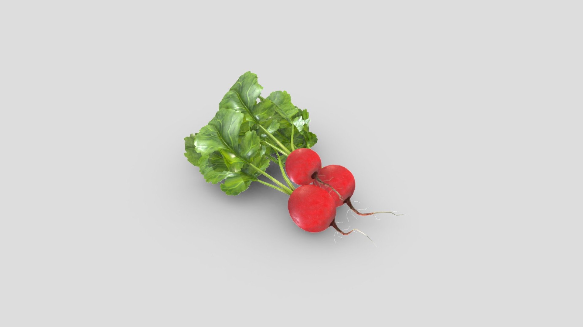 Radish Fruit - 3D models - 3D model by Kailash H Kanojia ...