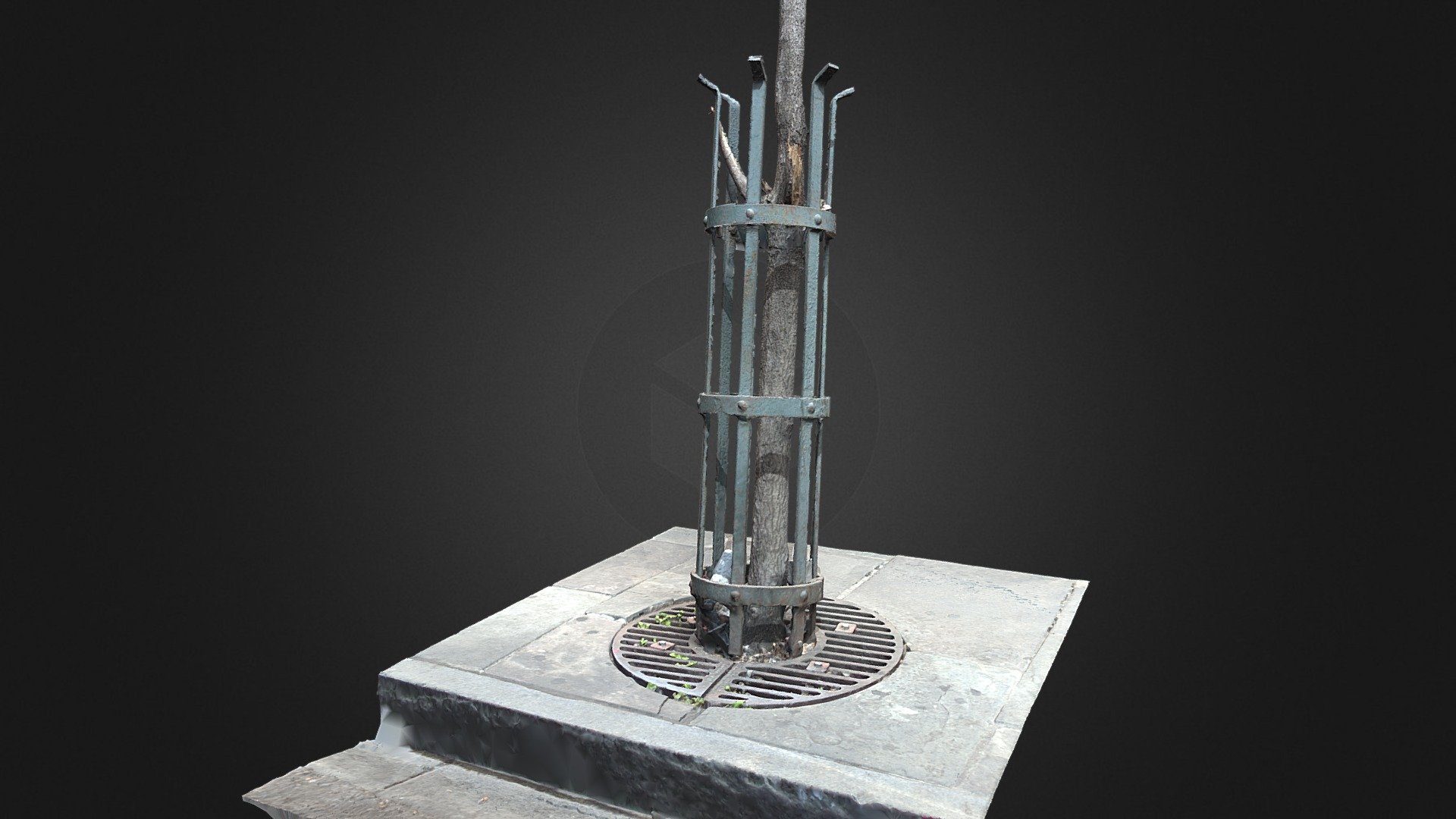 Caged Tree. New Orleans. - Download Free 3D model by 3D Scan New ...