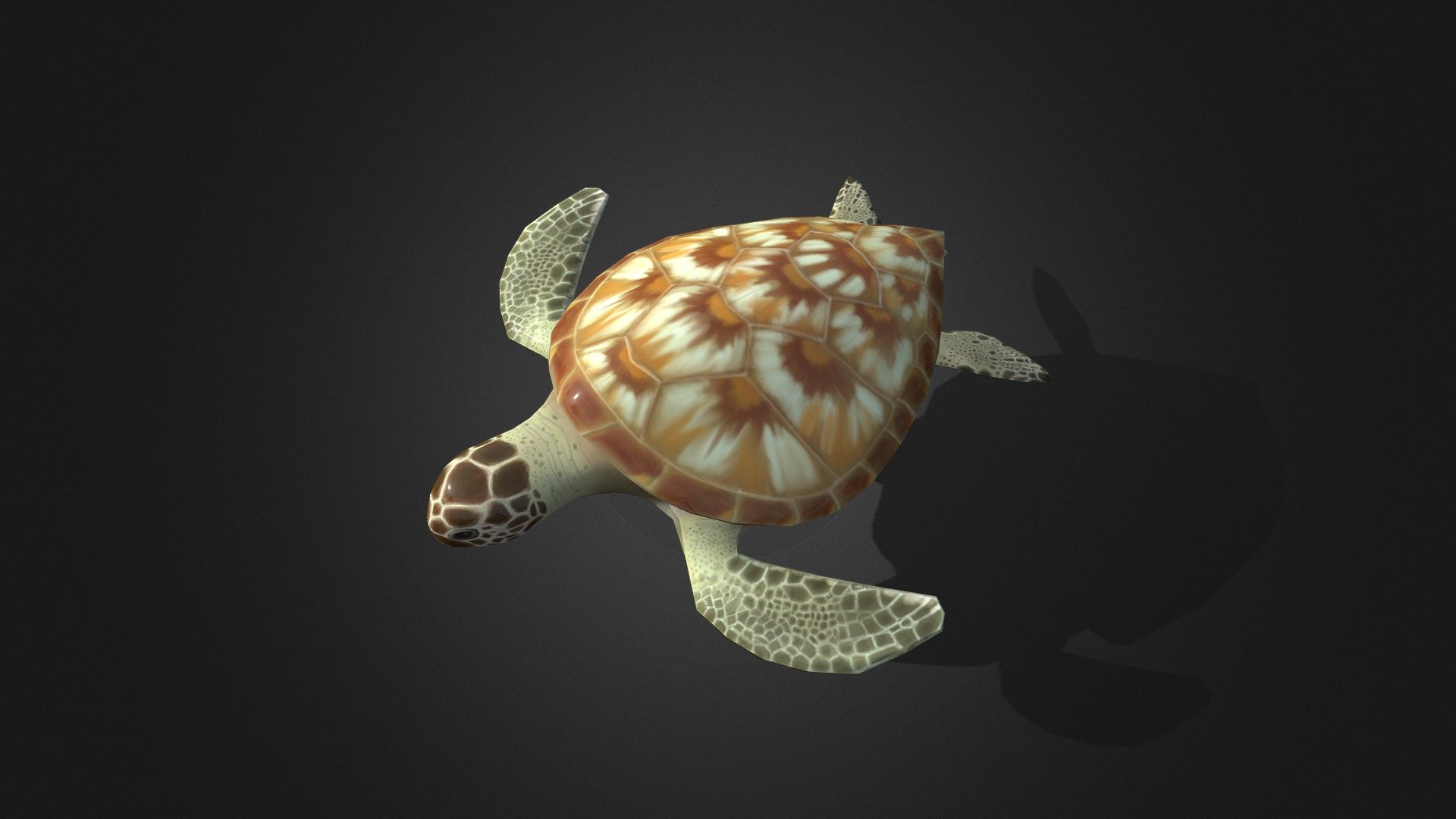 Green Sea Turtle - Buy Royalty Free 3D model by 3D-IDI (@paduladi ...
