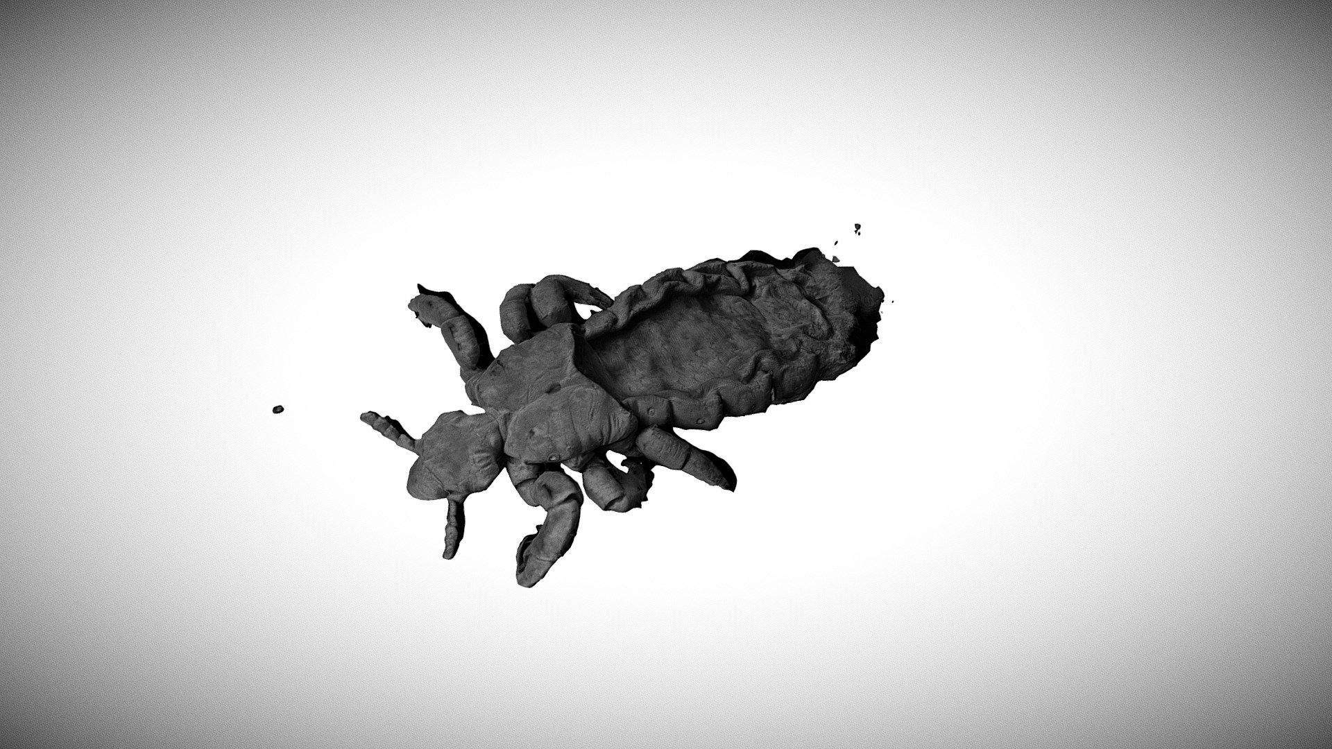 louse - test - Download Free 3D model by modin.evg [b566d2d] - Sketchfab